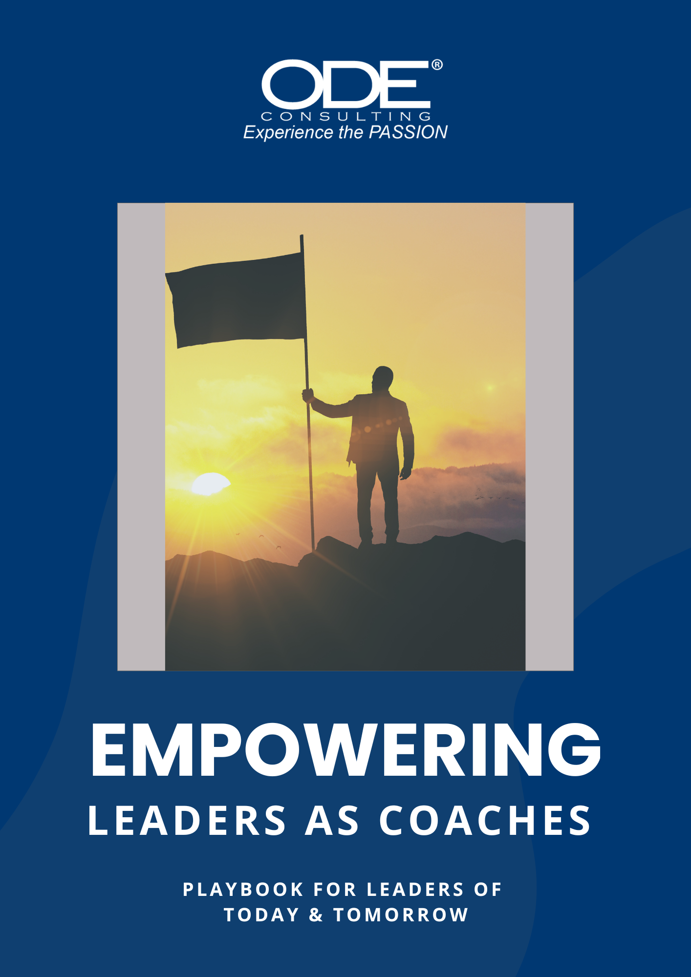 Home - ODE Consulting®